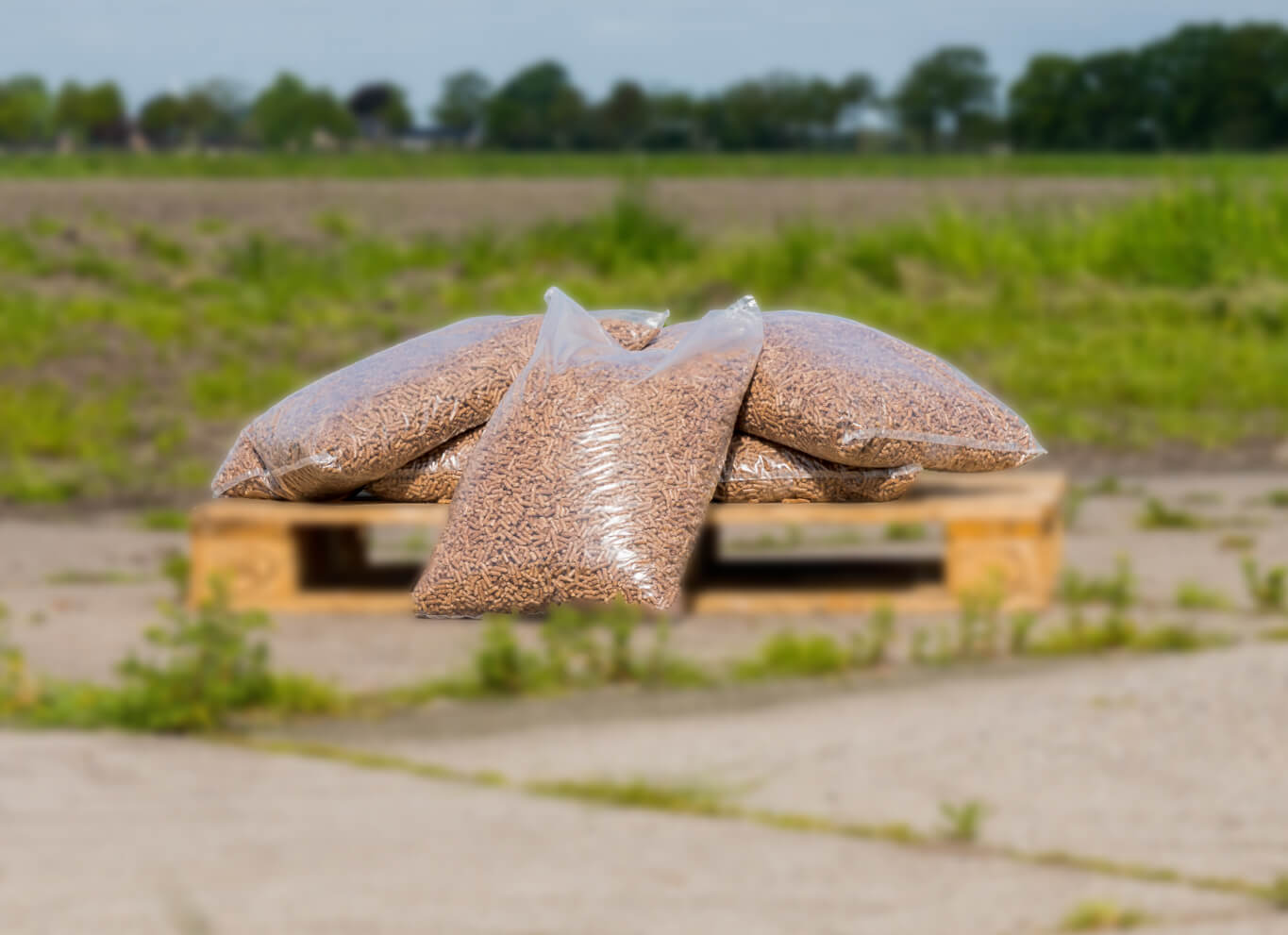 Houtpellets – Pellet Nederland